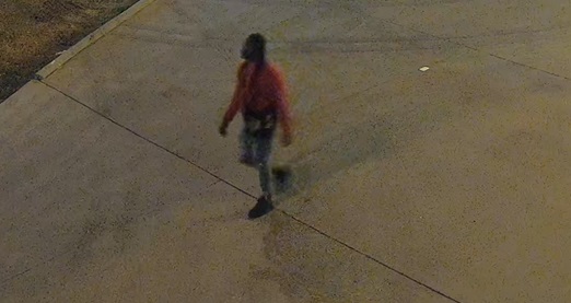 Nopd Seeking Person Of Interest In Homicide Investigation Nopd News